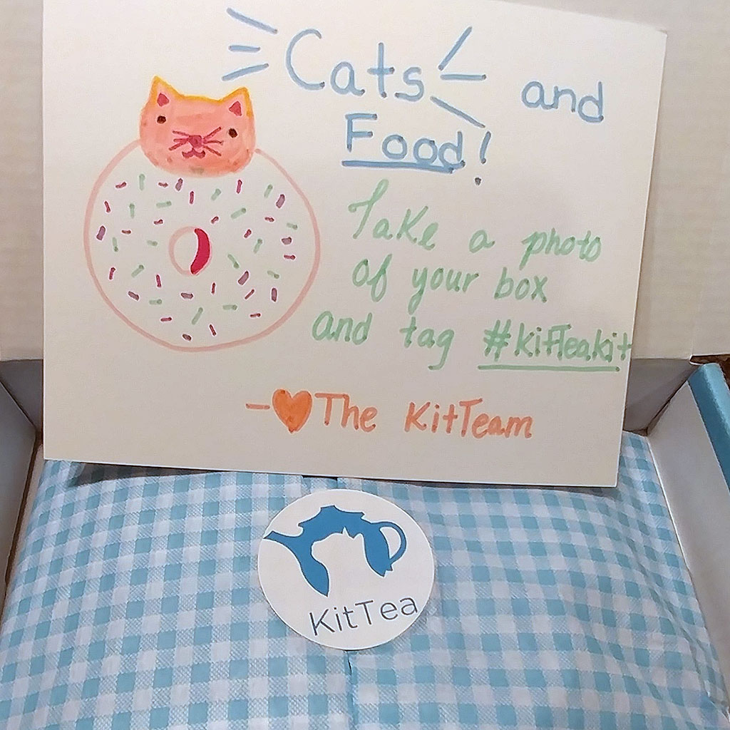 KitTea Kit Subscription Box Review - Super Cute Kawaii!!