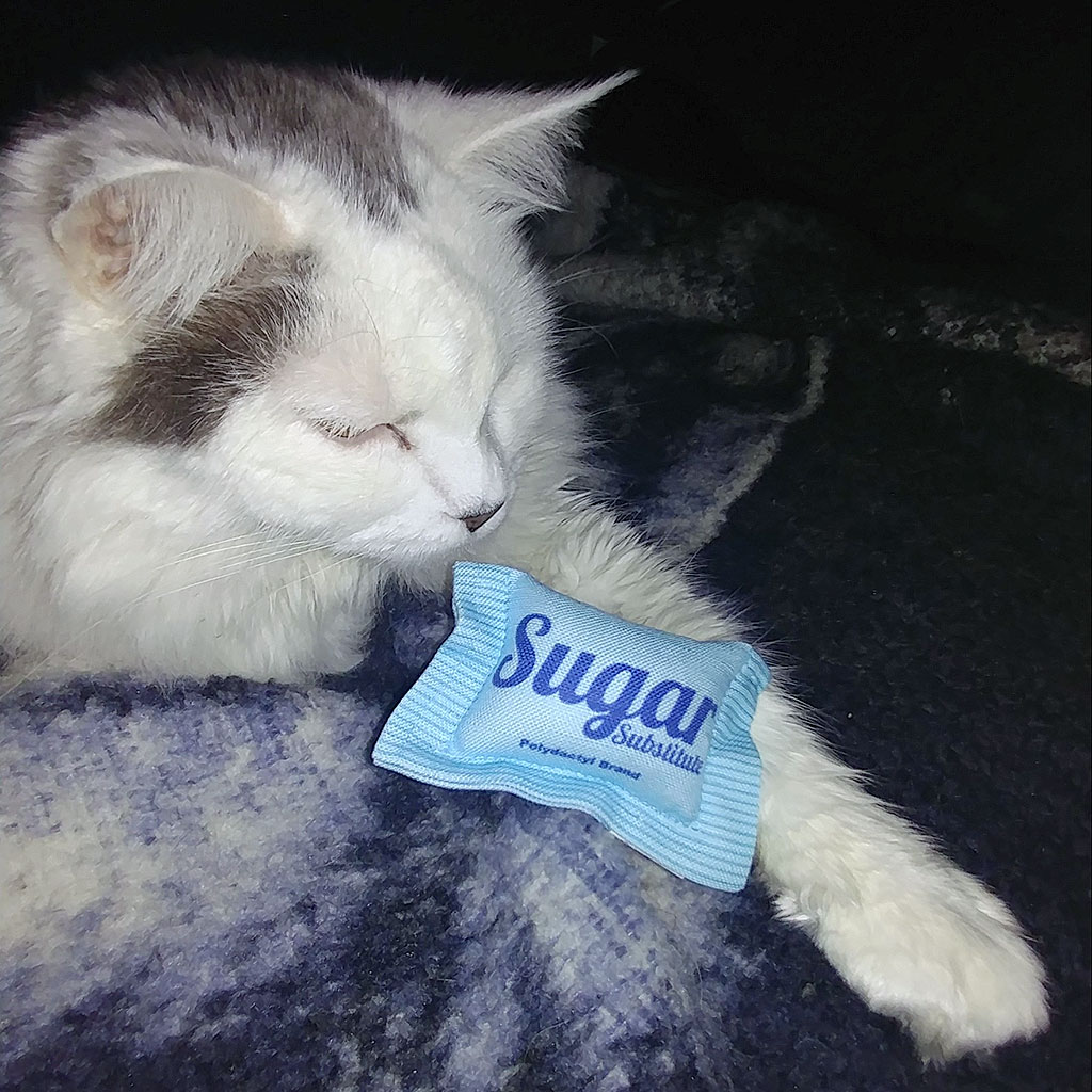 KitTea Kit Subscription Box Review - Super Cute Kawaii!!