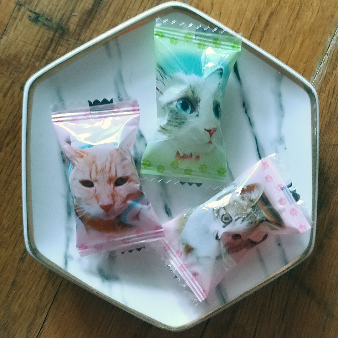 Tofu Cute Vegan Snacks Grab Bag Review - Super Cute Kawaii!!