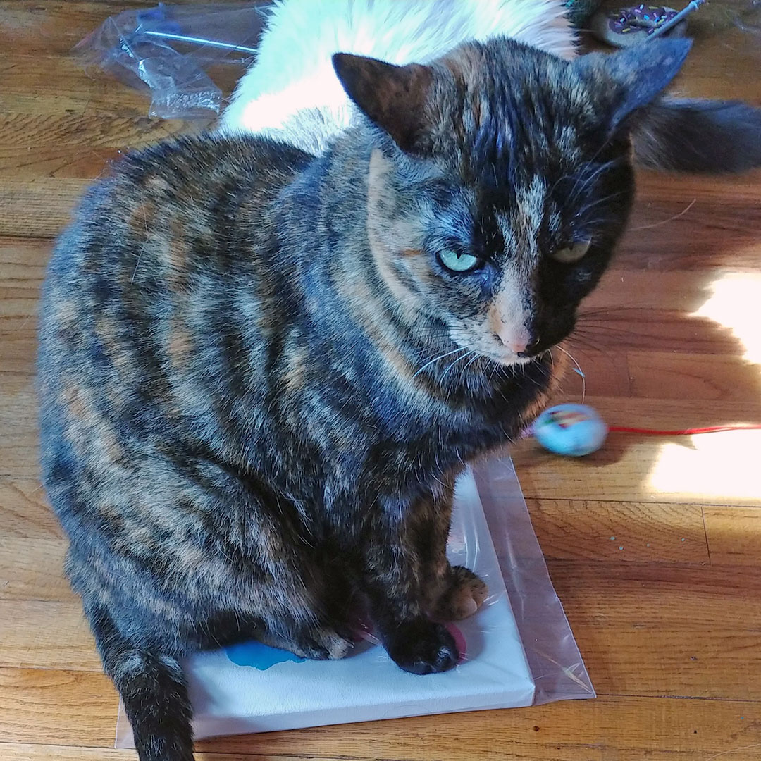 Painting With Cats Tutorial - Super Cute Kawaii!!