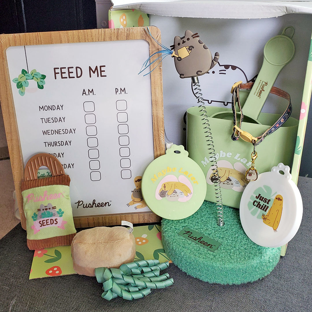 Spring 2022 Pusheen Cat Kit Review - Super Cute Kawaii!!