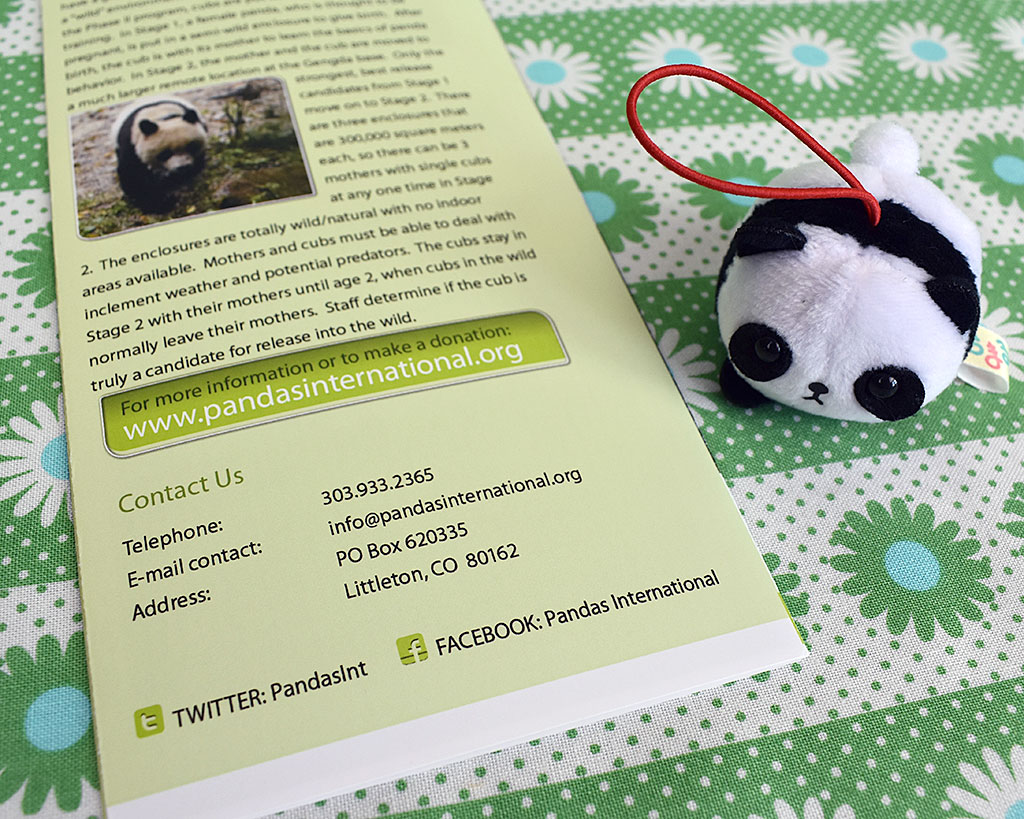 Kawaii Panda Box Review - Super Cute Kawaii!!