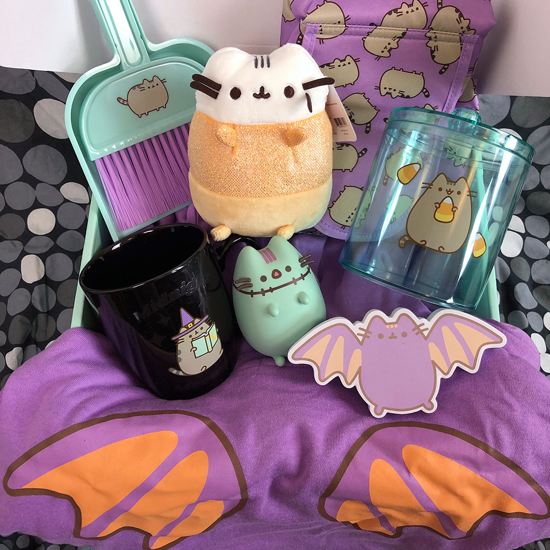 Fall 2019 Pusheen Box Review - Super Cute Kawaii!!