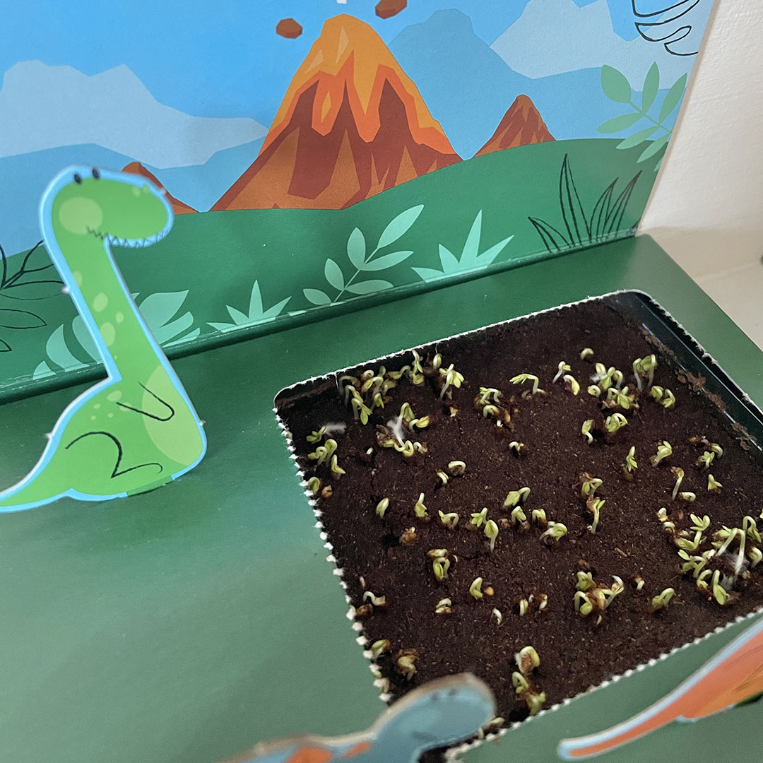 SCK Tries... Pop Up Cress Gardens - Super Cute Kawaii!!