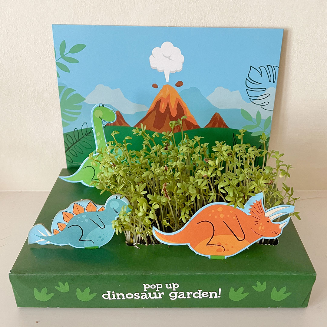 SCK Tries... Pop Up Cress Gardens - Super Cute Kawaii!!