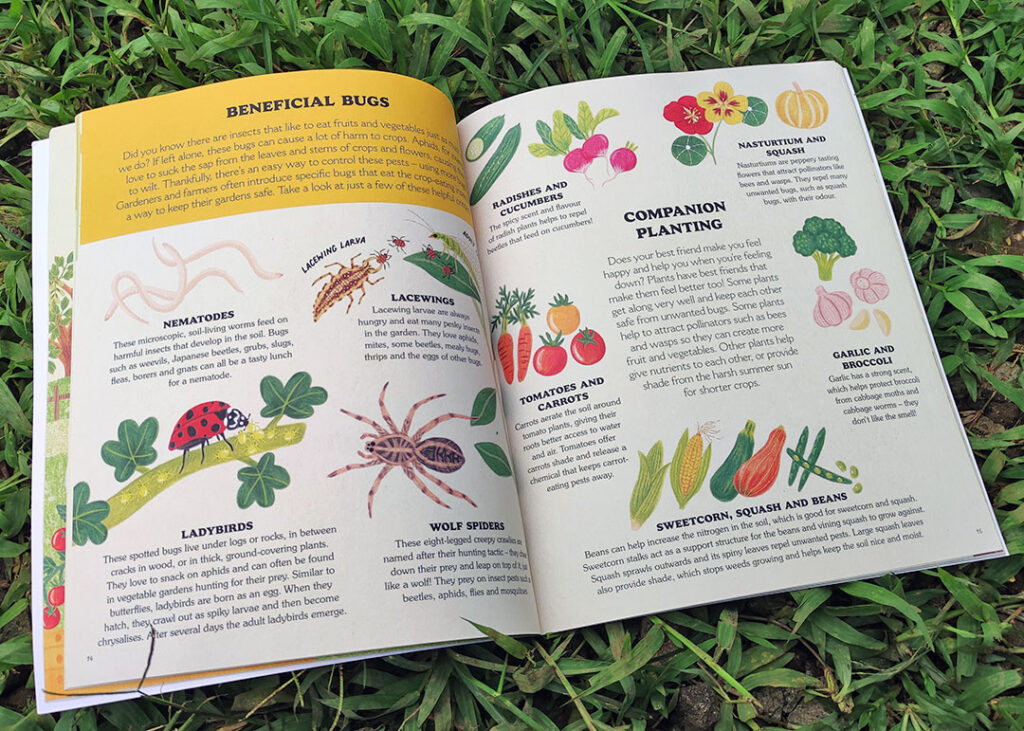 A Summer Treasury Book Review - Super Cute Kawaii!!