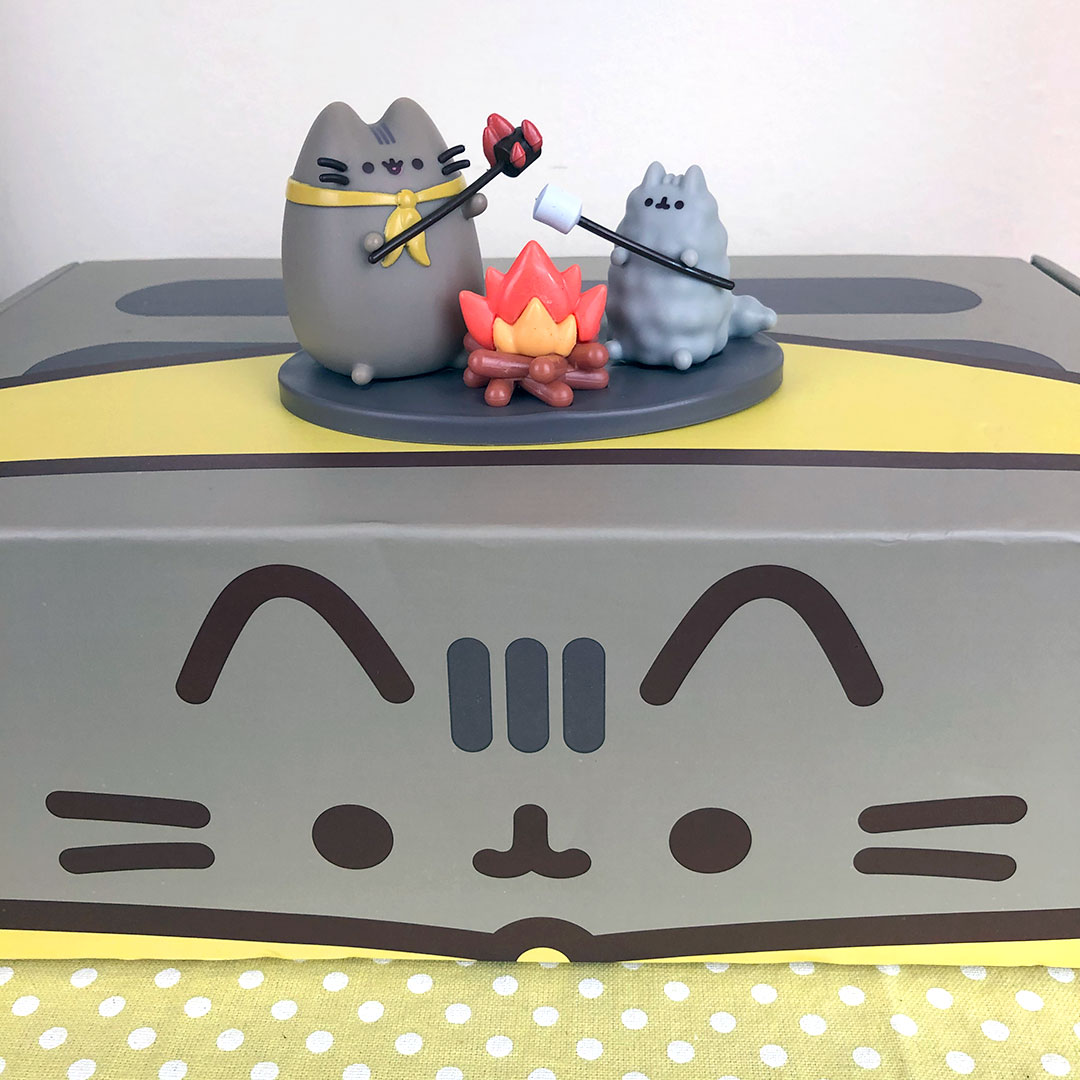 Summer 2020 Pusheen Box Review - Super Cute Kawaii!!