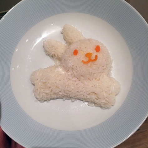 Animal Rice Moulds Review - Super Cute Kawaii!!