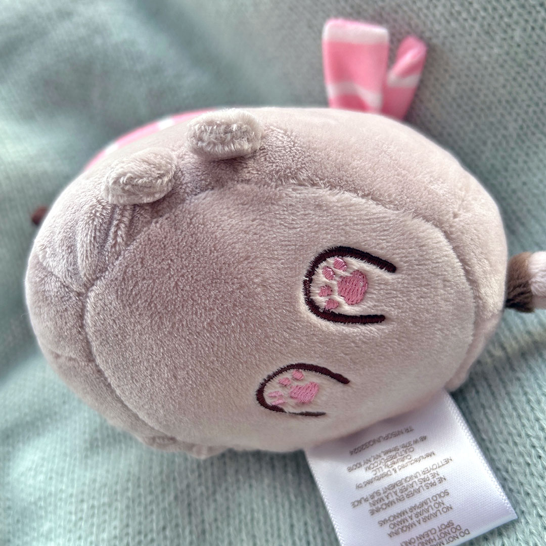 Winter 2024 Pusheen Box Review - Super Cute Kawaii!!