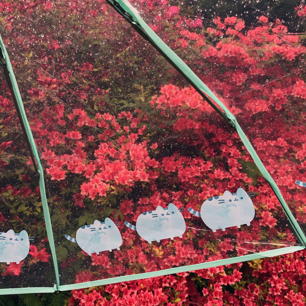 Spring 2021 Pusheen Box Review - Super Cute Kawaii!!