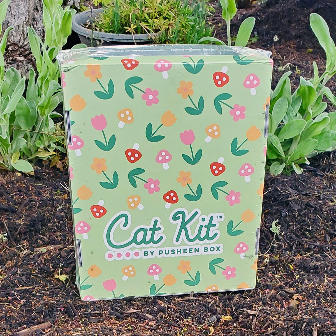 Spring 2022 Pusheen Cat Kit Review - Super Cute Kawaii!!