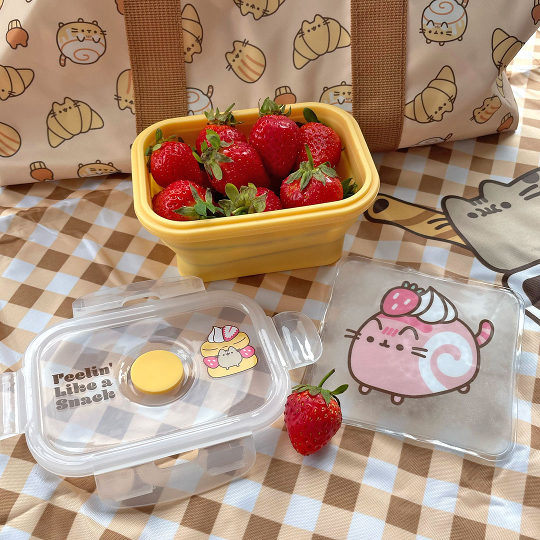 Summer 2022 Pusheen Box Review - Super Cute Kawaii!!
