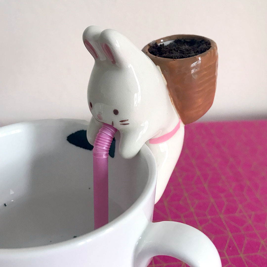 Shippon & Chuppon Animal Planters Review - Super Cute Kawaii!!