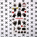 Kumamon Birthday Picks - Super Cute Kawaii!!