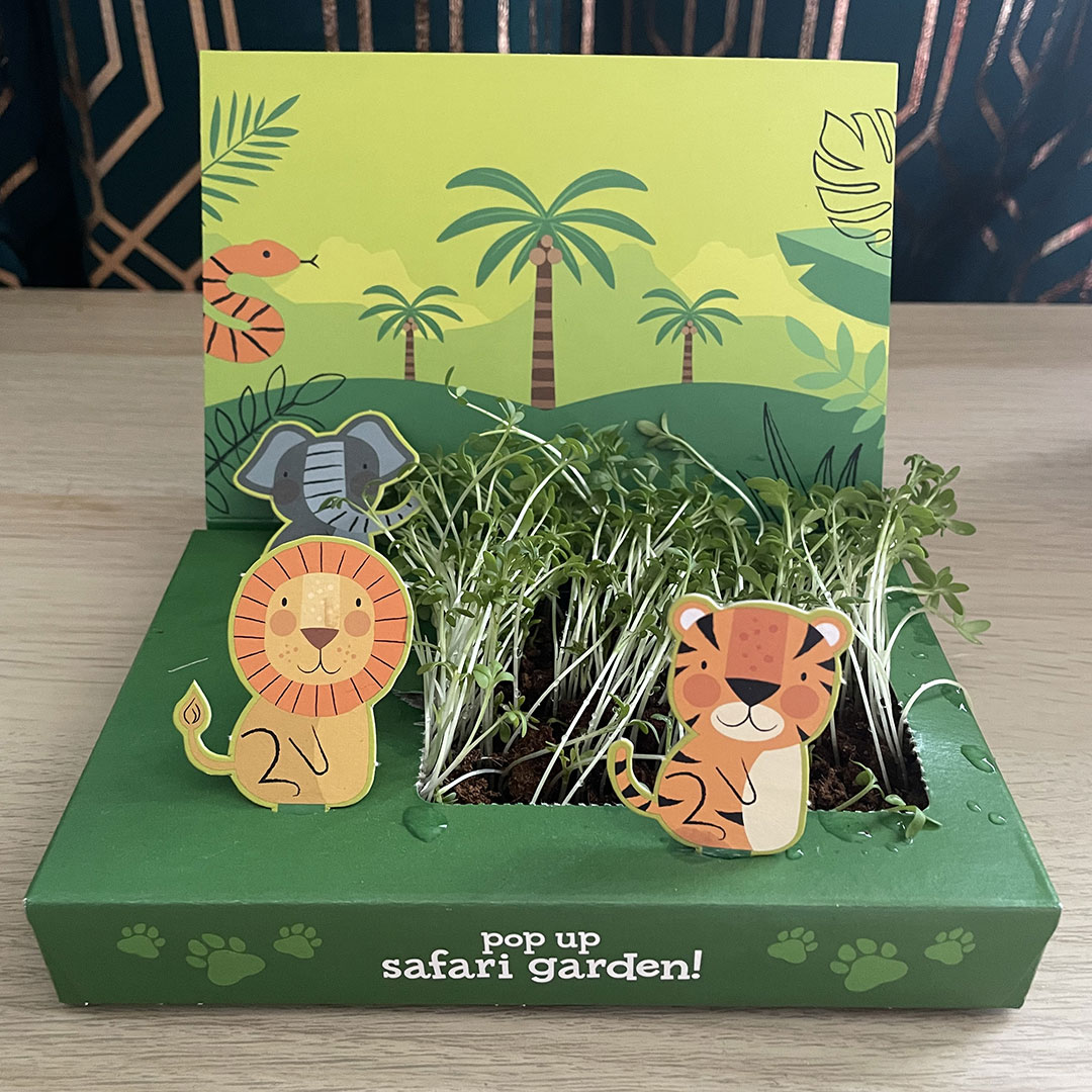 SCK Tries... Pop Up Cress Gardens - Super Cute Kawaii!!