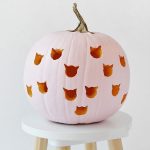 Pumpkin Cats To Buy & DIY - Super Cute Kawaii!!