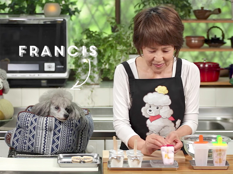 Cooking With Dog Videos & Cookware - Super Cute Kawaii!!
