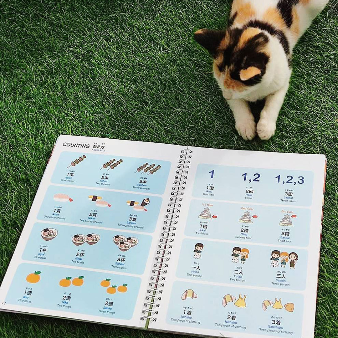 My #ValiantJapanese Vol. 1 Book Review - Super Cute Kawaii!!