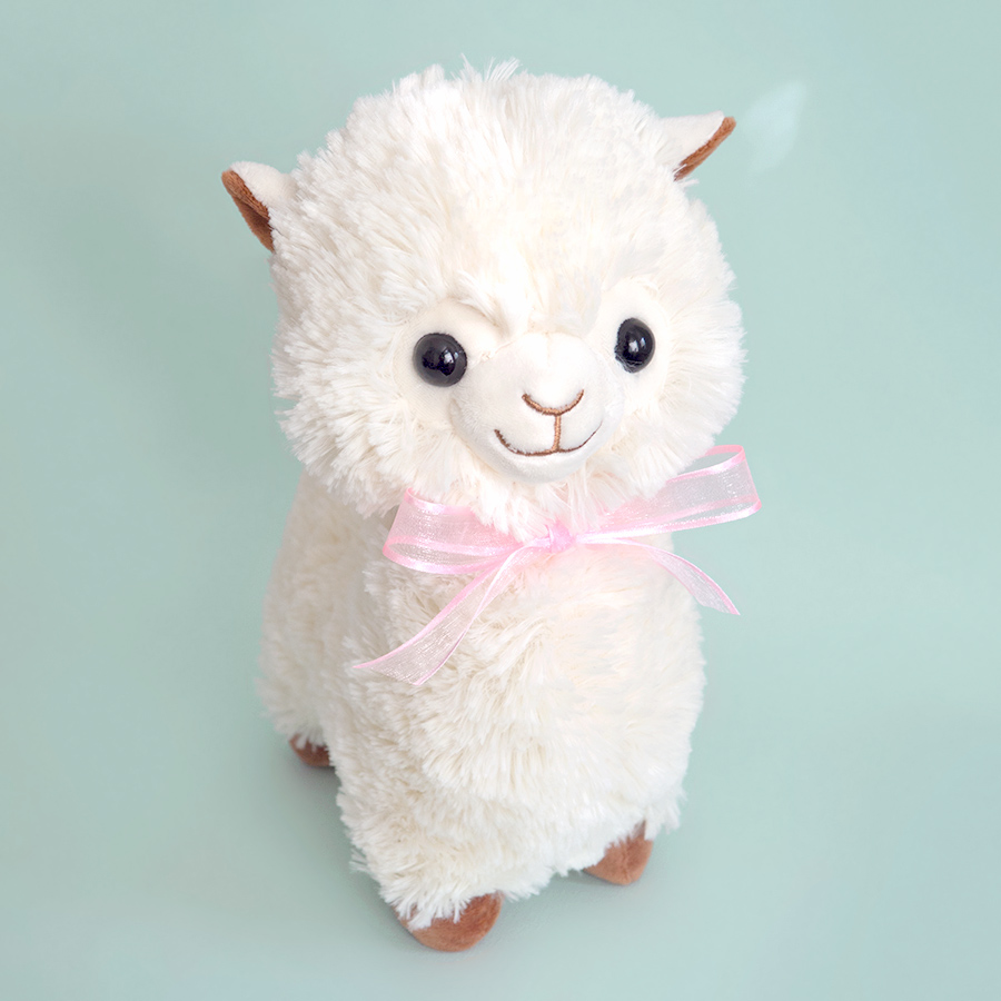 The Cutest Things We Bought in 2018 - Super Cute Kawaii!!