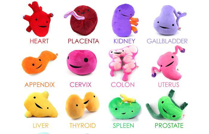 I Heart Guts! - Super Cute Kawaii!!