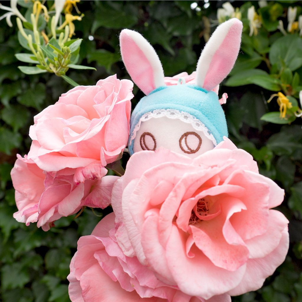 Tiny Plush Photography Tips - Super Cute Kawaii!!