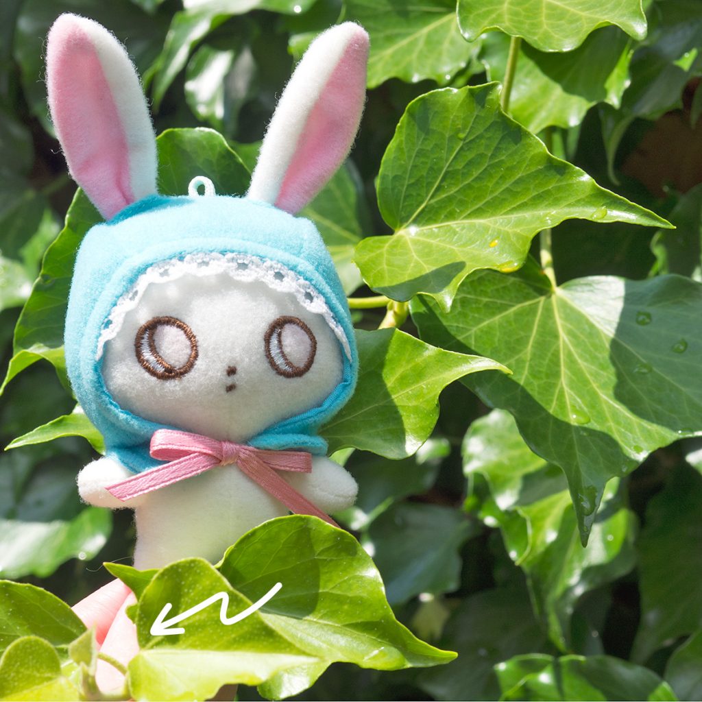 Tiny Plush Photography Tips - Super Cute Kawaii!!