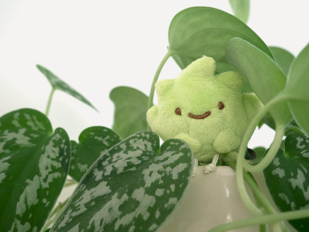 Tiny Plush Photography Tips - Super Cute Kawaii!!
